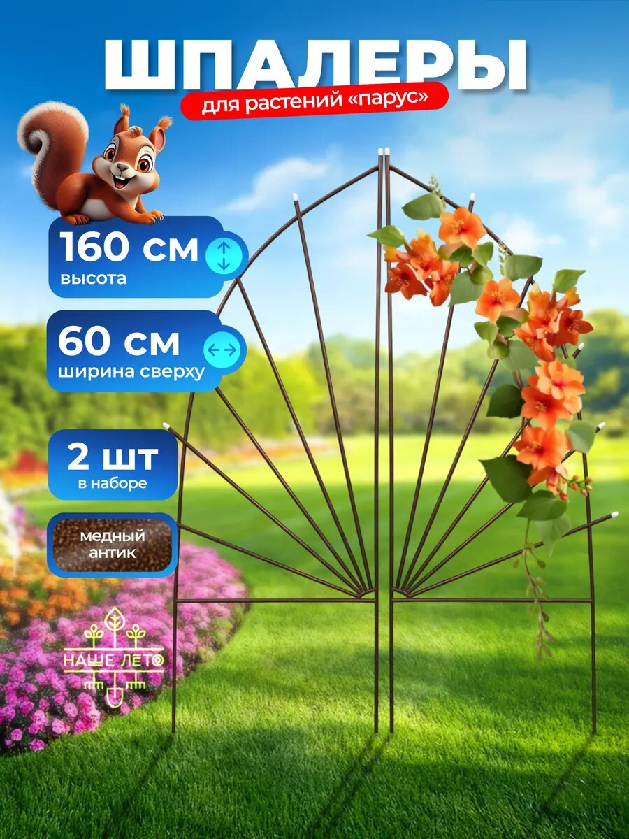 Шпалеры для клематиса "Парус", высота 1.6м (2 штуки)
