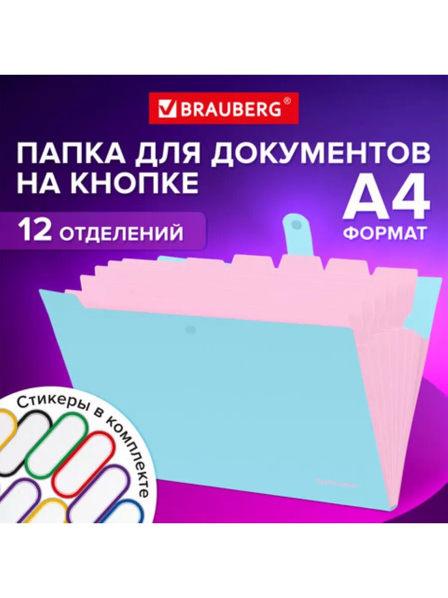 Папка для документов BRAUBERG с кнопками, голубая