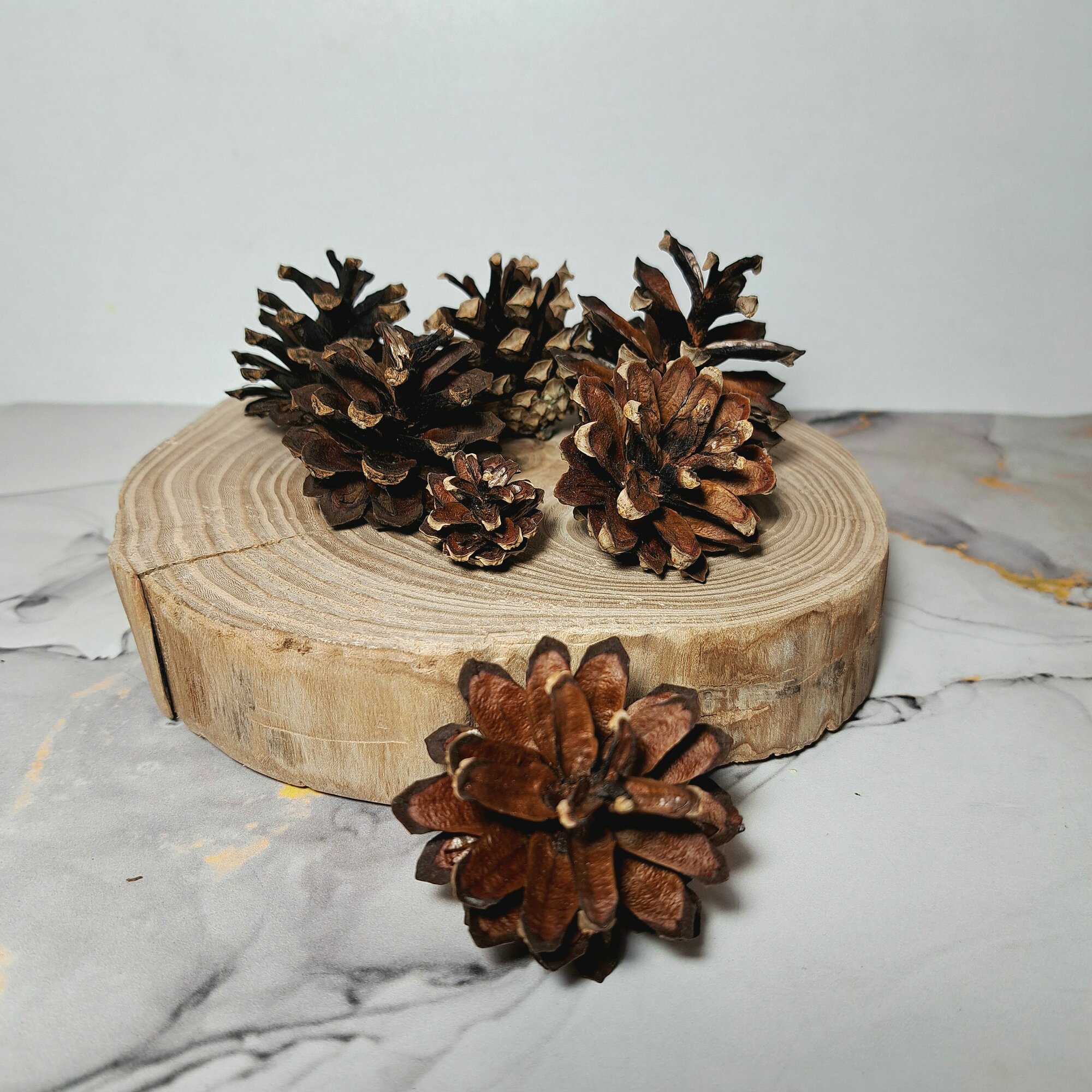 Шишка сосновая для декора, поделок, рукоделия 50 шт.