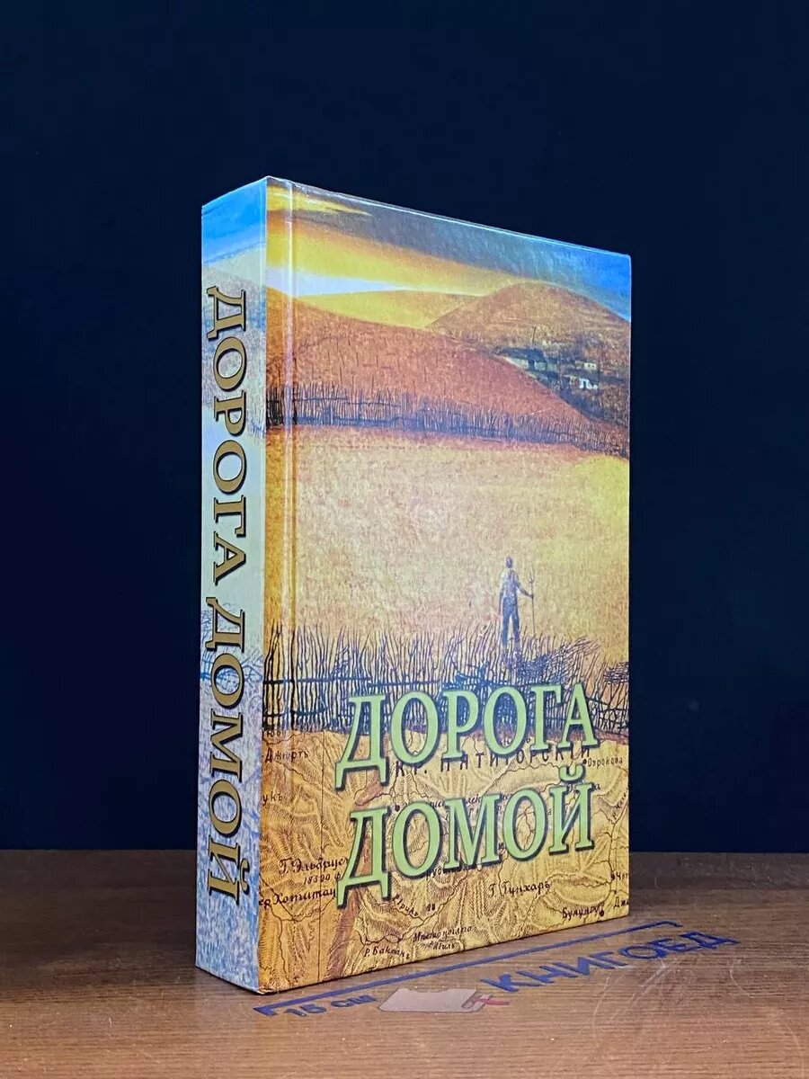 Книга. Дорога домой 2011 (2040955445578)