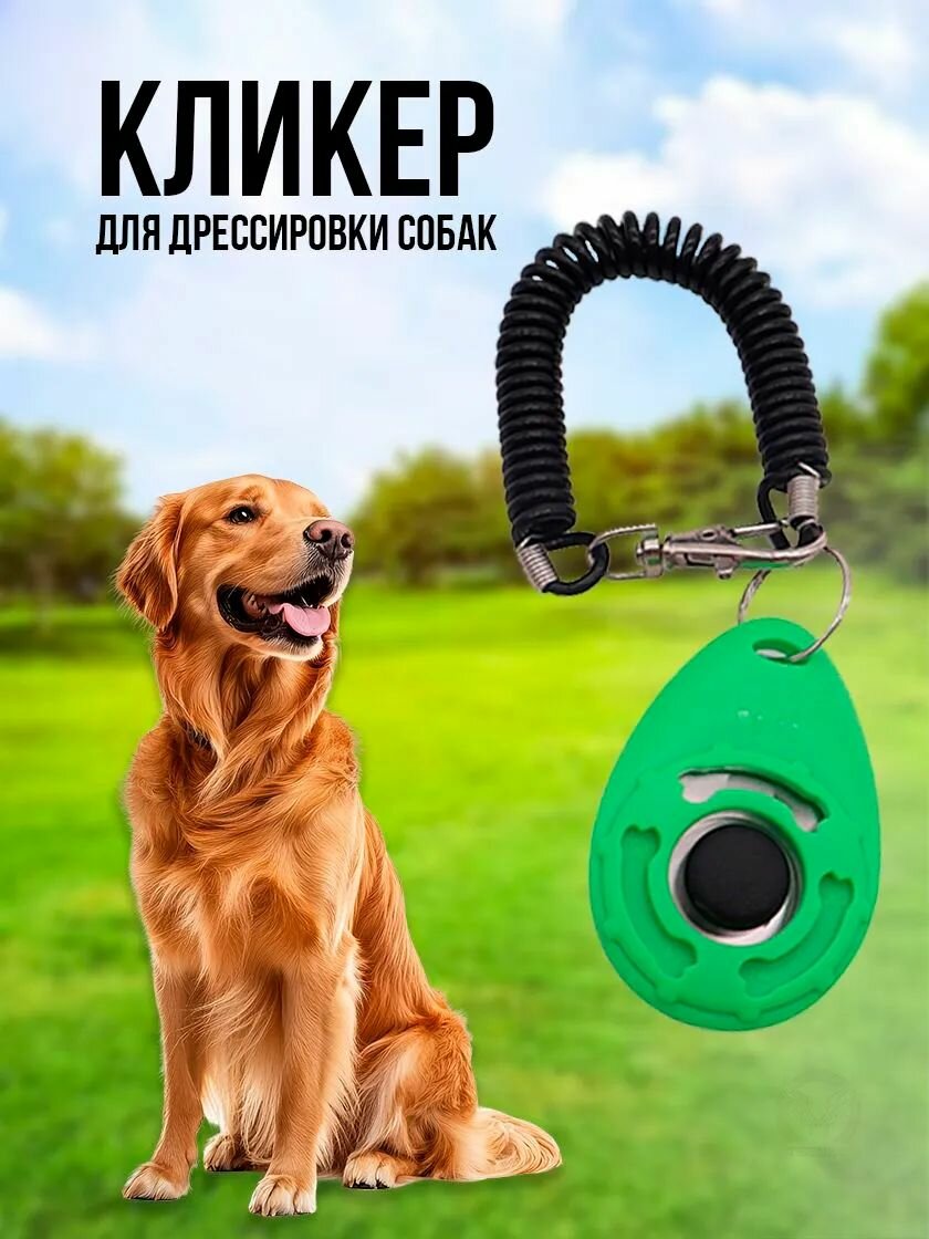Кликер для дрессировки собак и кошек с браслетом карабином кнопкой, зеленый / Устройство для обучения тренировки животных