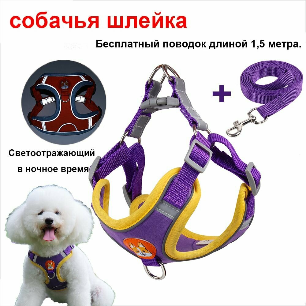 Шлейка