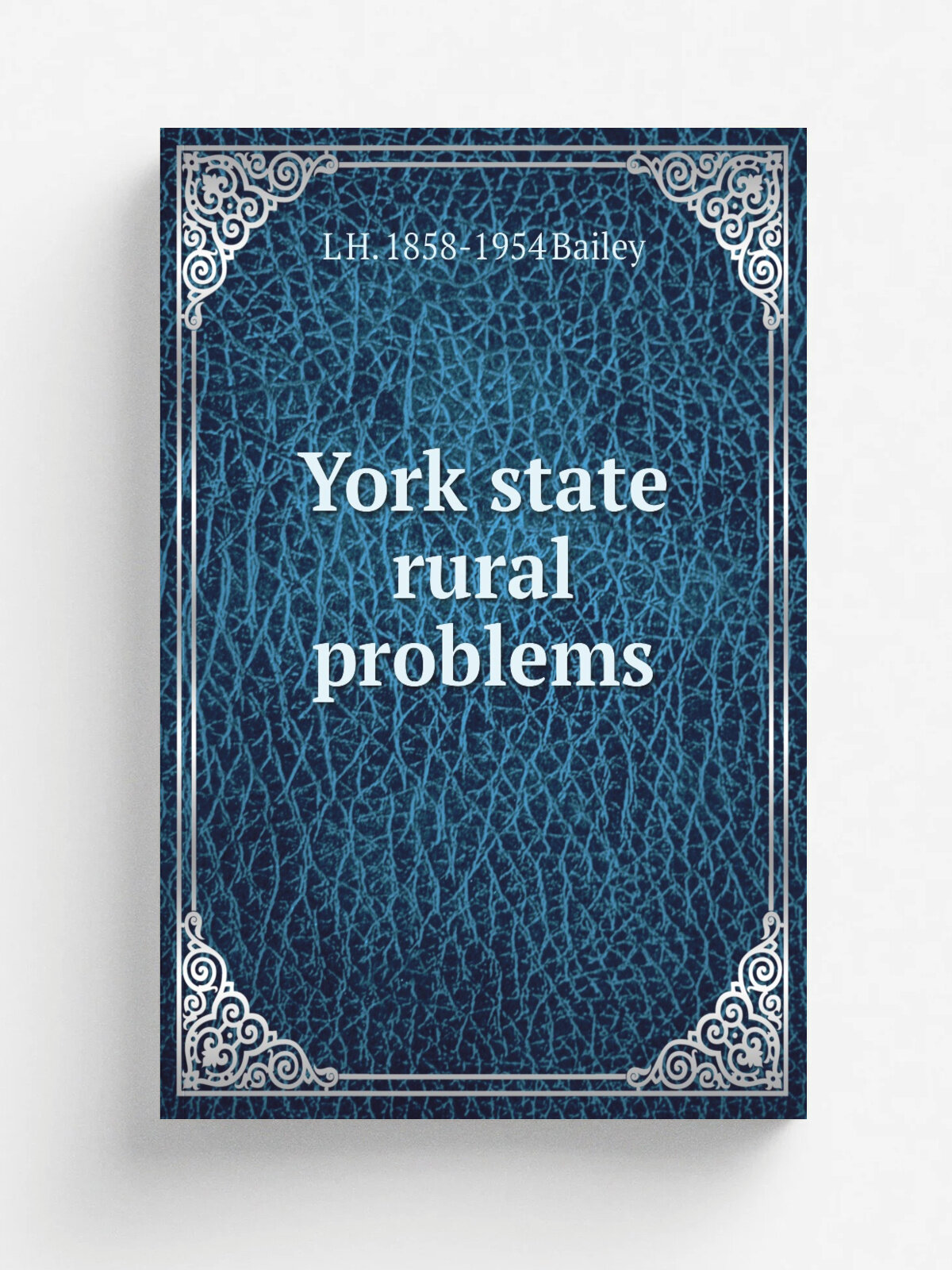 York state rural problems | L H. 1858-1954 Bailey | Репринт