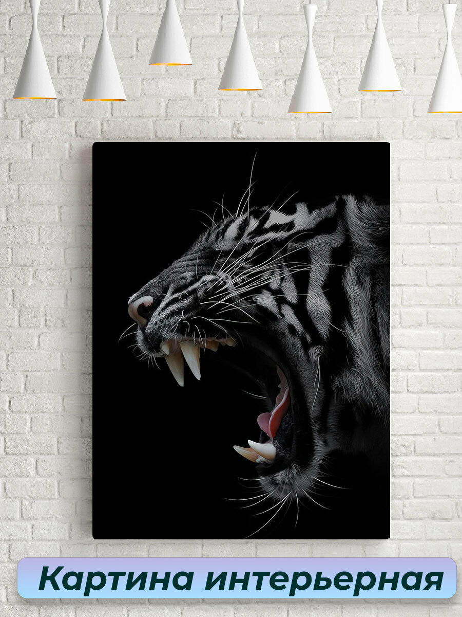 Картины для интерьера 40х60 Тигр белый зубы оскал