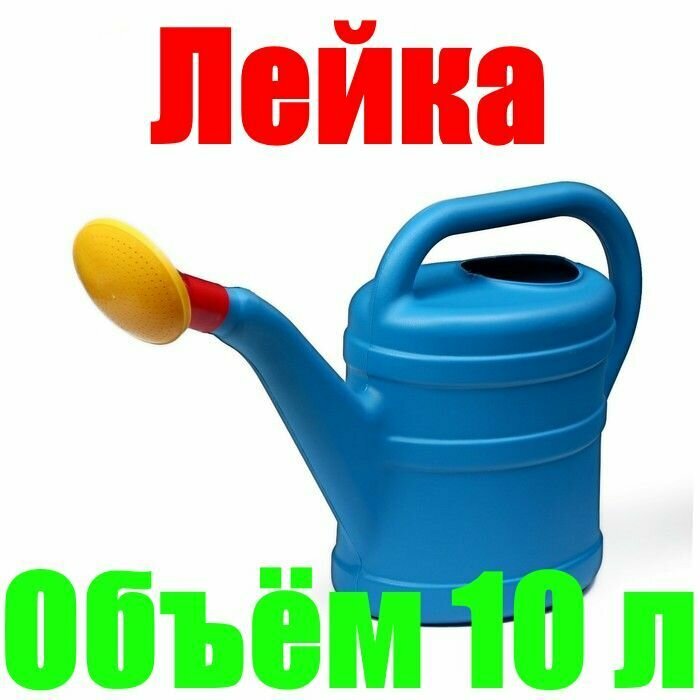 Лейка для сада и дачи на 10 литров, с рассеивателем в комплекте, цвет микс