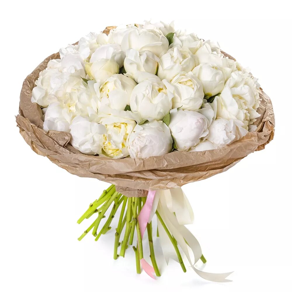 Монобукет Magic Flower "Букет из 35 белых пионов", высота 40см, 1 упаковка