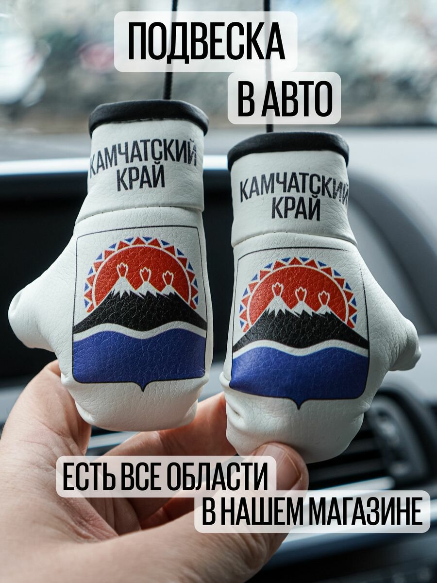 Вонючка в машину жителю Камчатского края