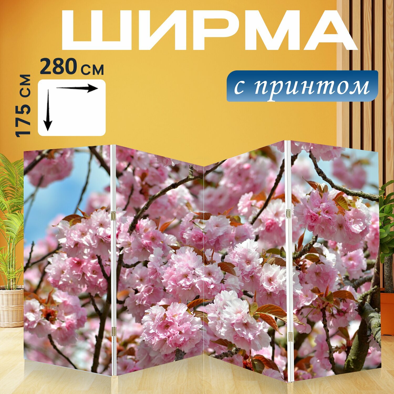 Ширма "Сакура, дерево в цвету, япония" перегородка для зонирования комнаты с принтом 280x175 см. на холсте