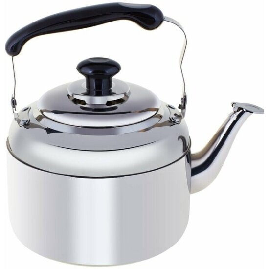 Чайник Evergreen Art Craft нерж. сталь 3,0л без свистка (RGS-KD5291)