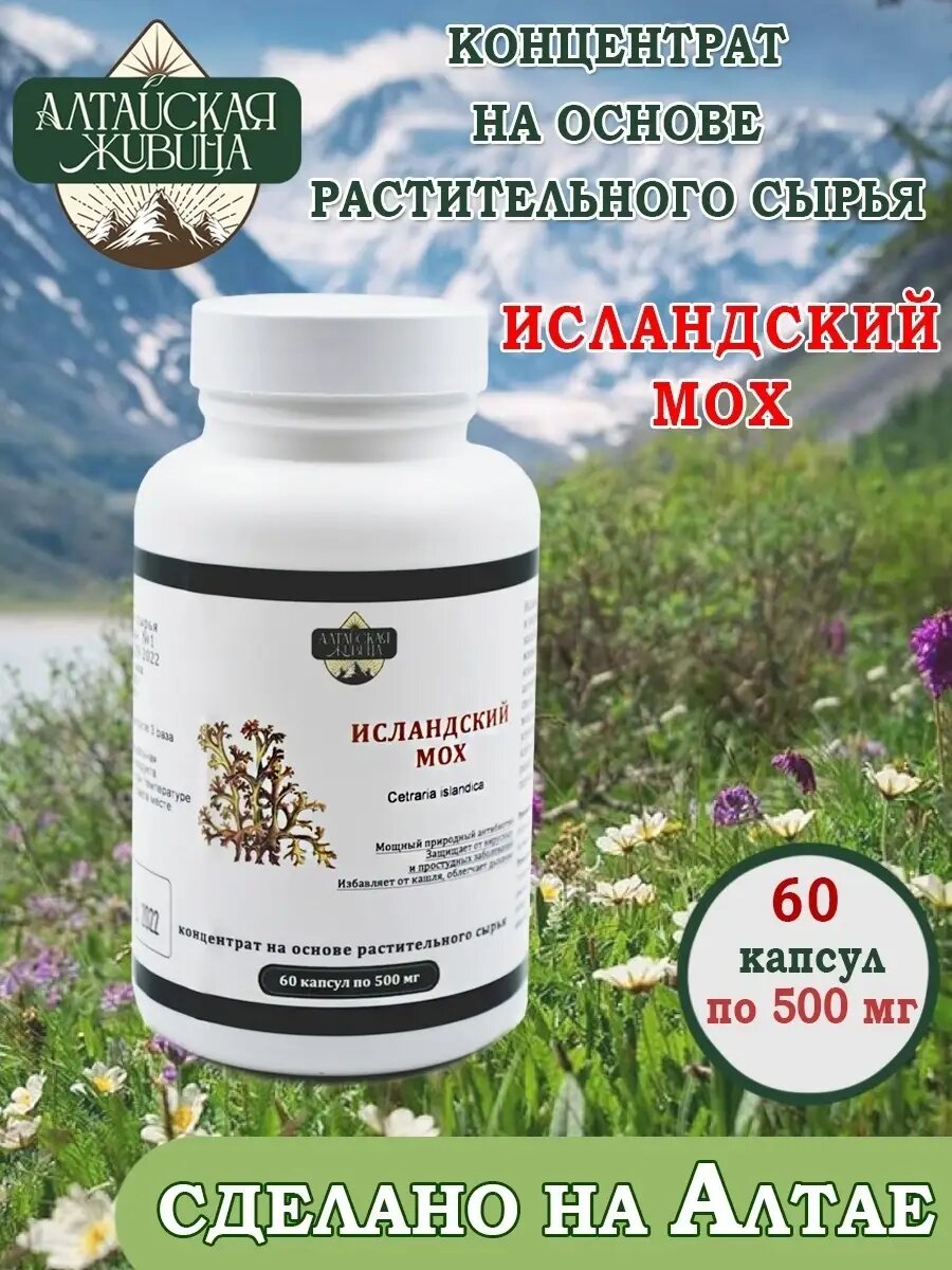 Исландский мох капсулы растительный экстракт 60шт по 500 мг