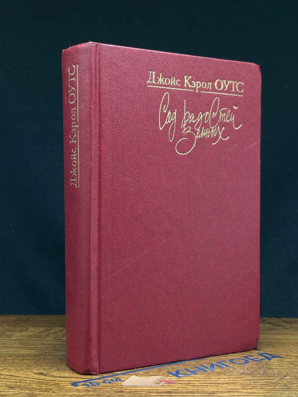 Книга. Сад радостей земных 1993 (2042230012024)
