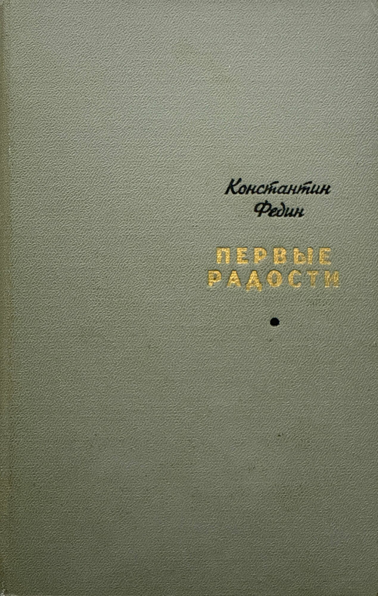 Первые радости: роман (художник Л. Ламм)