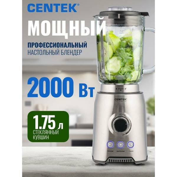 Блендер стационарный Centek CT-1329