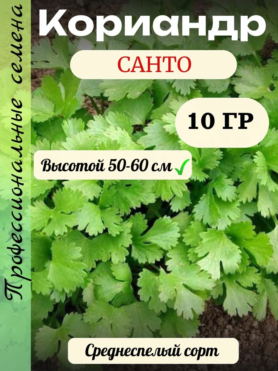 Семена Кориандр Санто10гр