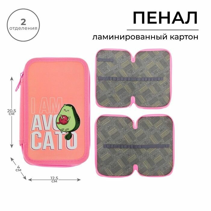 Пенал школьный, 2 секции, 12.5х20.5х4 см Авокадо-кот