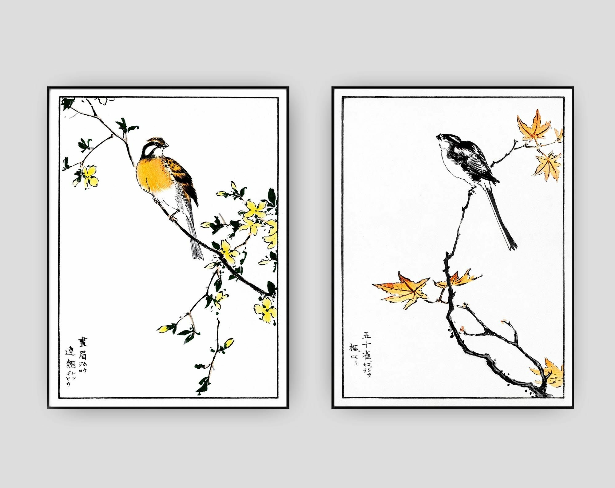 Набор восточных постеров - "Птицы" А3 без рамы, ориентализм. 2 винтажных плаката в стиле японской гравюры "Минимализм и Модерн"