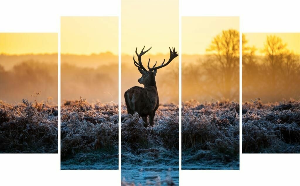 Модульная картина для интерьера "Олень" 80х140 см