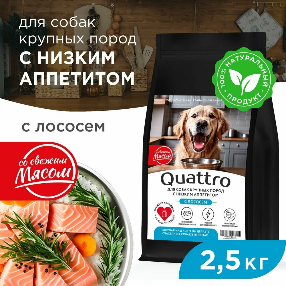 Корм сухой для взрослых собак крупных пород, премиум полнорационный комплекс, для собак с низким аппетитом, с лососем, 2,5 кг, QUATTRO