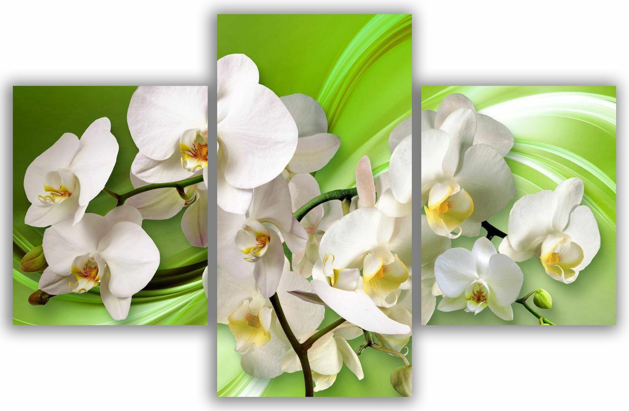 Картина модульная Зеленые орхидеи 120х80