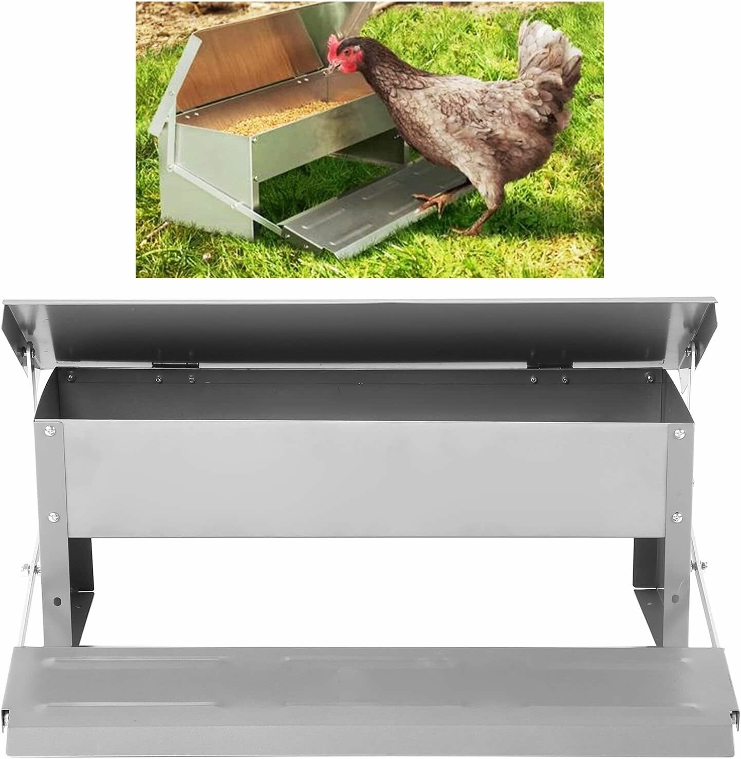 Автоматический корм для кур