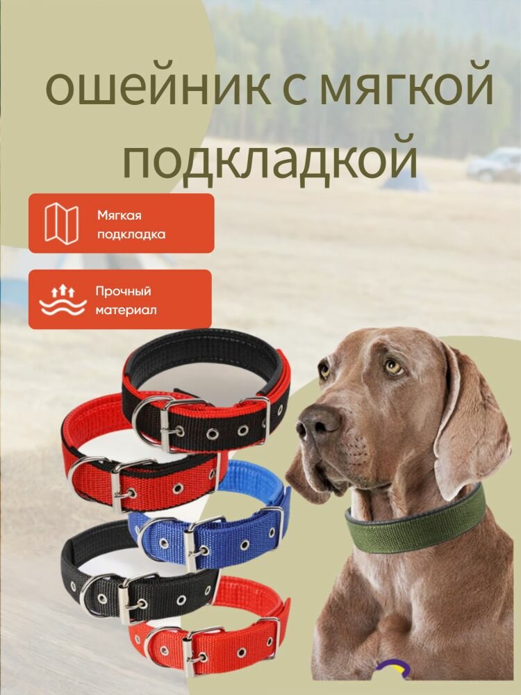 Удобный ошейник для собак мягкость и безопасность