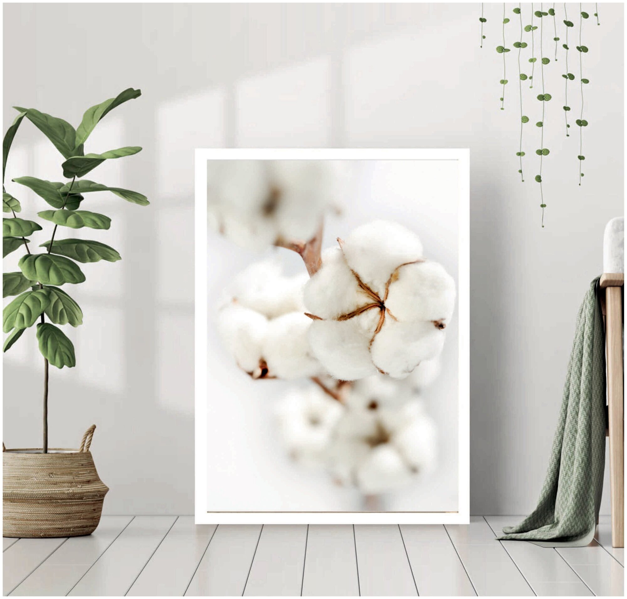 Постер "Хлопок, сухие цветы" в белой рамке 50x70 см для интерьера на стену