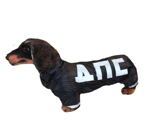 Теплый комбинезон для таксы карликовой суки, на флисе, повышенной прочности, с надписью ДПС