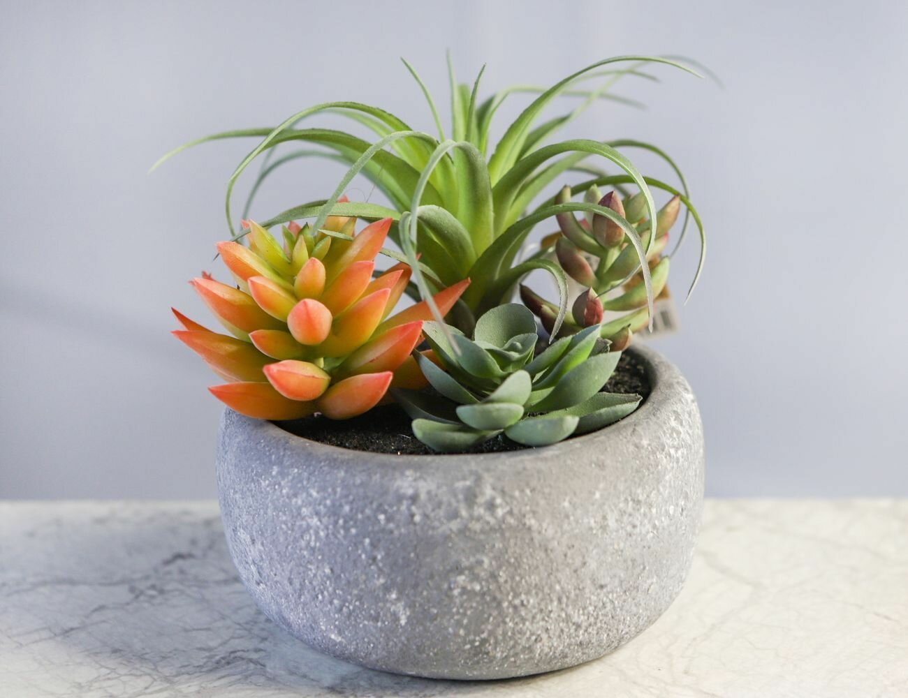 Искусственные растения в кашпо суккуленты – славная компания, 13х12 см, Koopman International 319000620-2