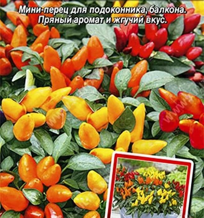 Коллекционные семена перца острого Калейдоскоп, смесь