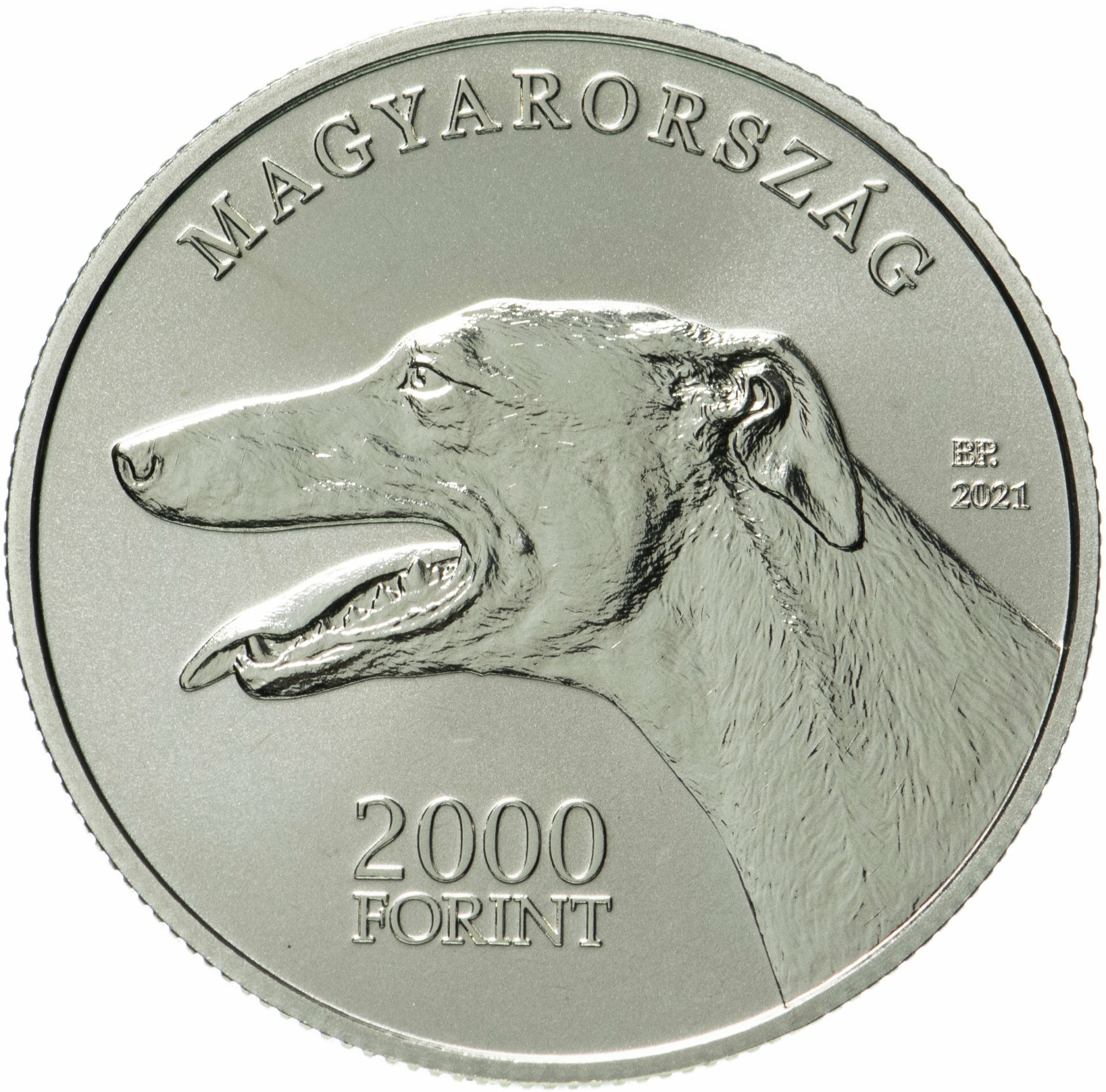 Венгрия 2000 форинтов 2021 "Собака Венгерская борзая, Агар", Мельхиор медь-никель, в сохранности UNC