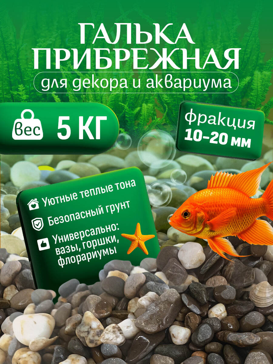 Галька прибрежная, 5 кг, фракция 10-20 мм, натуральный грунт для аквариума, террариума, флорариума