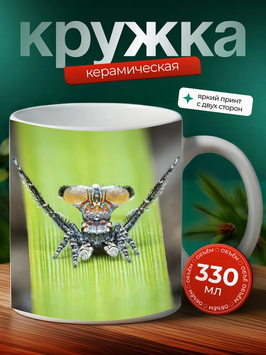 Кружка Ручейник насекомое 17,