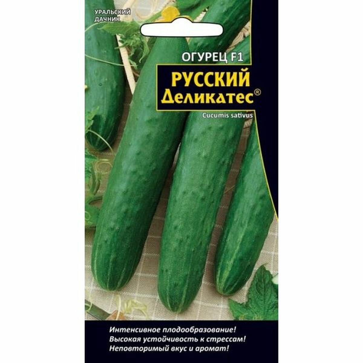 Семена Огурец Русский Деликатес F1, партенокарпический, 1 пачка - 10 семян