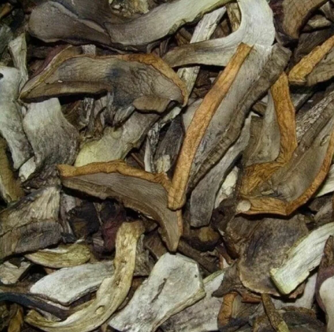 Подберёзовики сухие в/с 1кг.