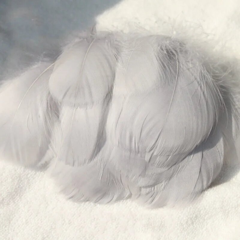 Окрашенные гусиные перья SWANFeathers 4-15 см Белый, DZP 50P 9-14cm, gray