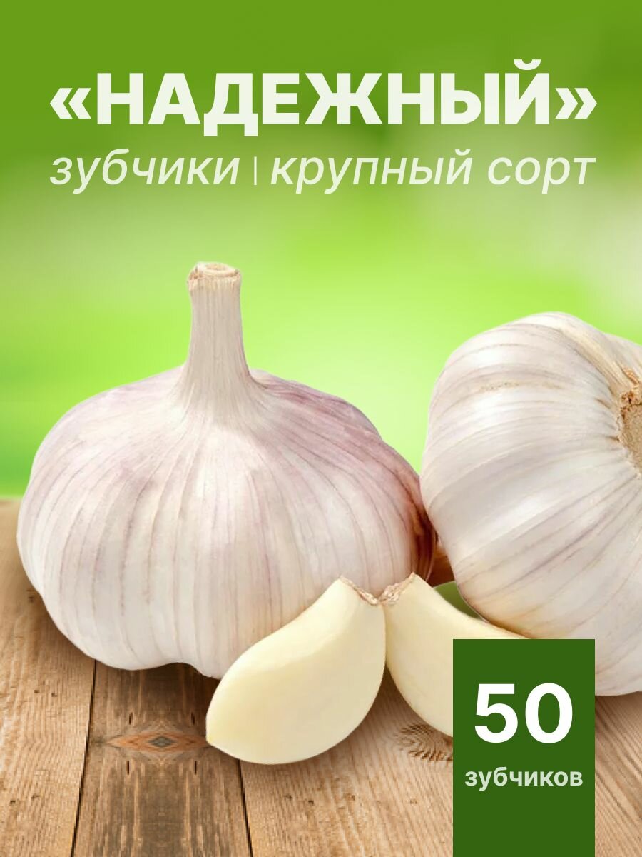 Зубчики чеснока на посадку "Надежный" 50шт