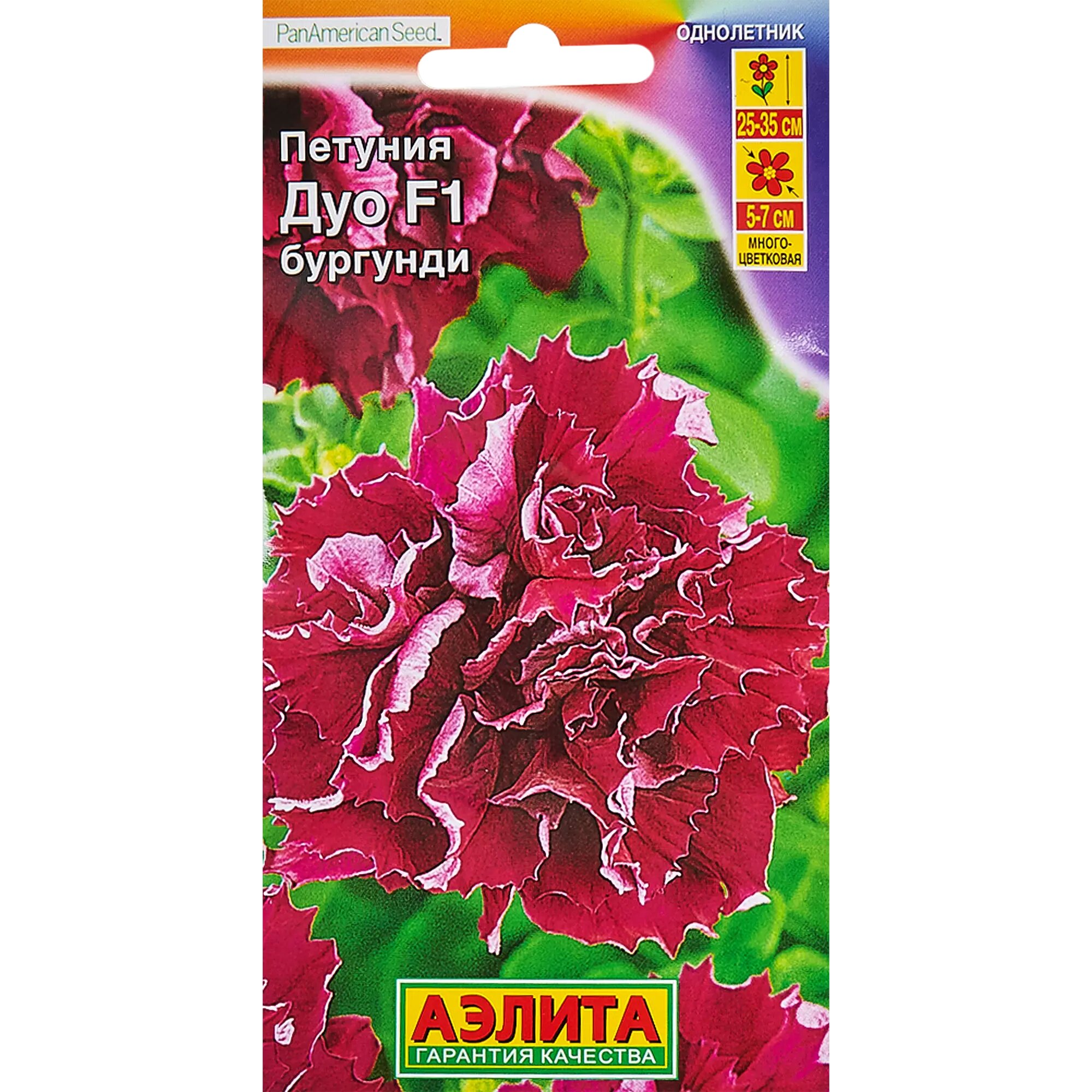 Семена петунии махровой Бургунди дуо F1 яркое цветение на клумбах и балконах