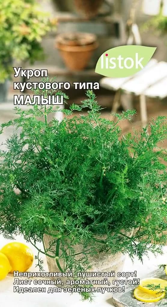 Укроп Малыш 2гр Листок — фото 1