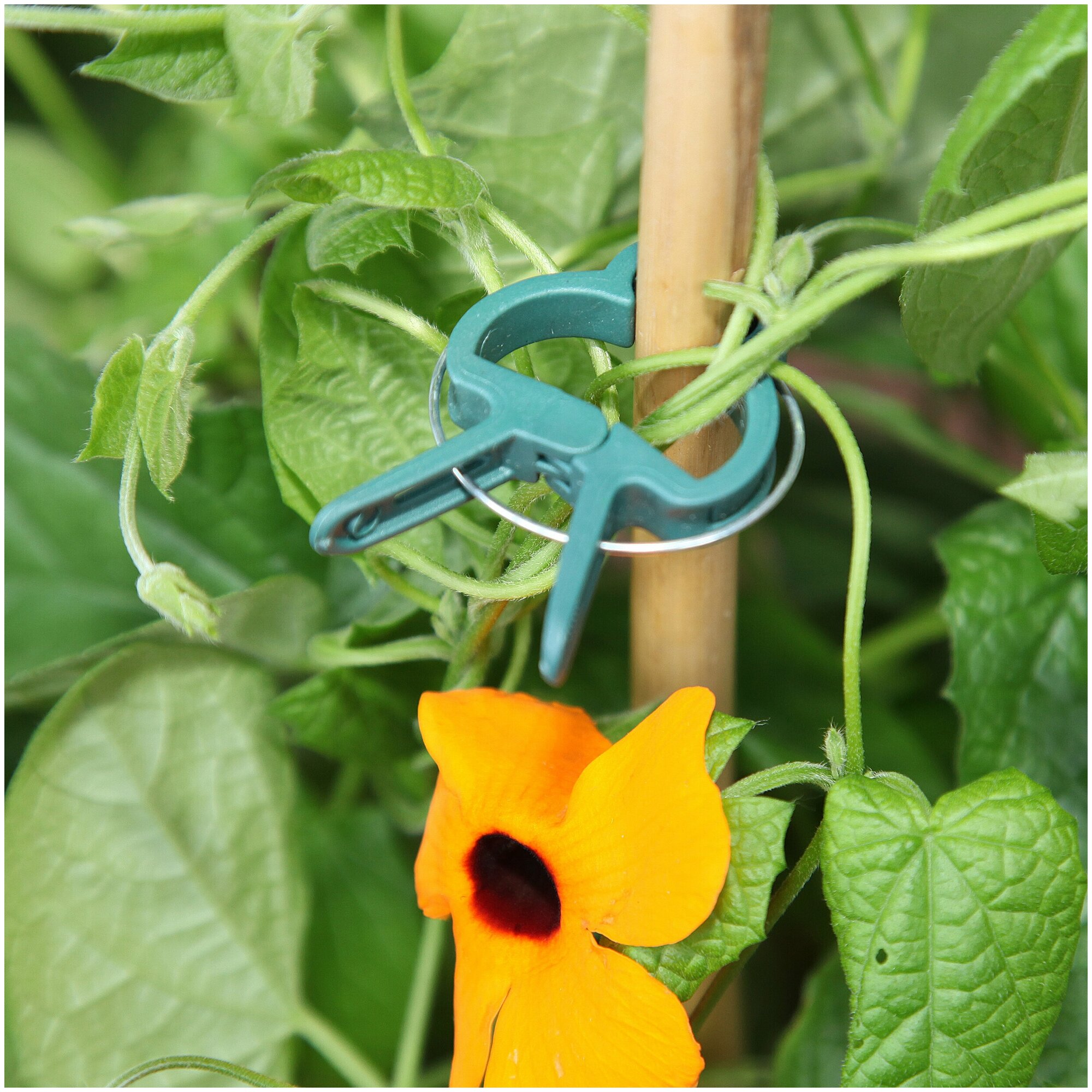 Прищепки для подвязки растений floraworld 4.5 см, пластик, 10 шт
