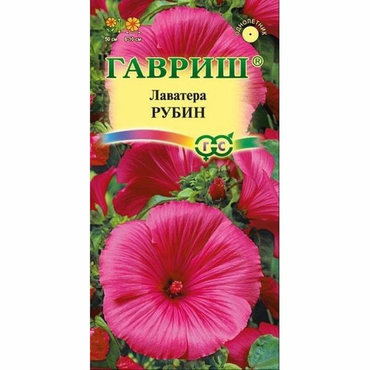 Семена Лаватера Рубин, однолетник, Гавриш, 1 пачка - 0.5г семян