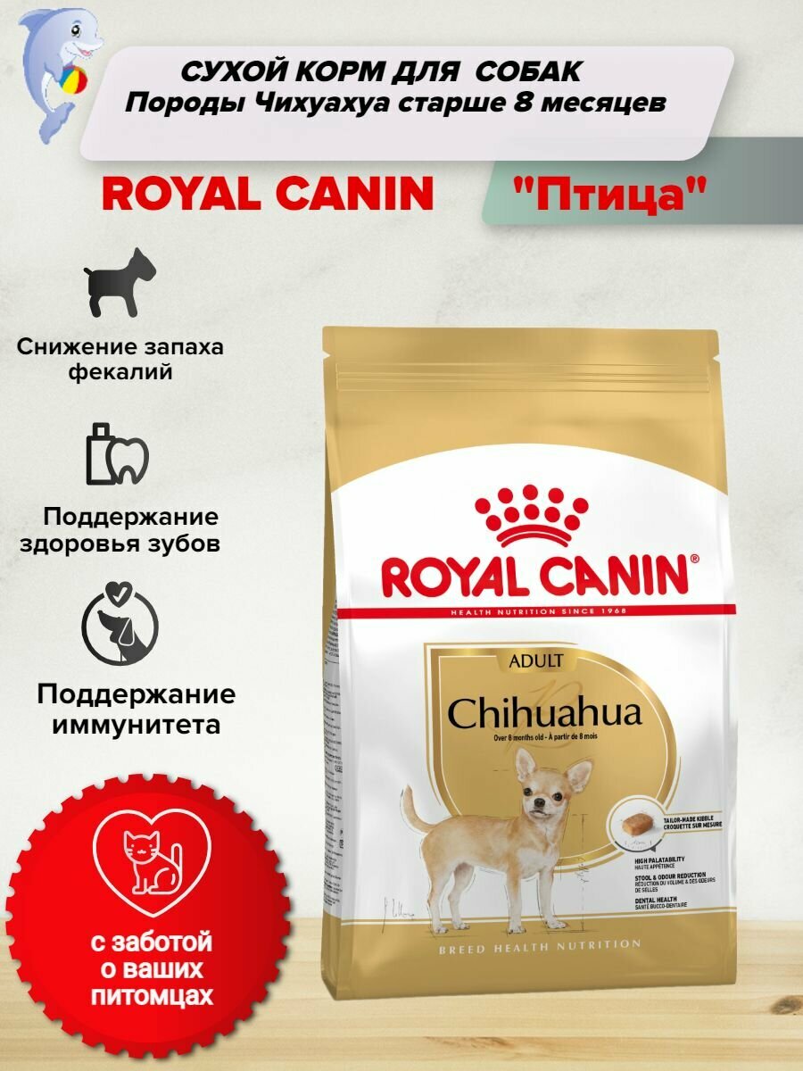 Сухой корм для собак породы чихуахуа старше 8 месяцев Royal Canin Chihuahua Adult