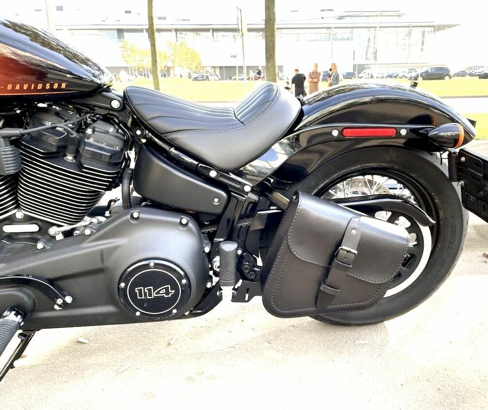 Кофр на маятник HD Softail