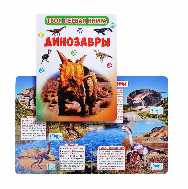 Книжка Кредо Твоя первая книга Динозавры