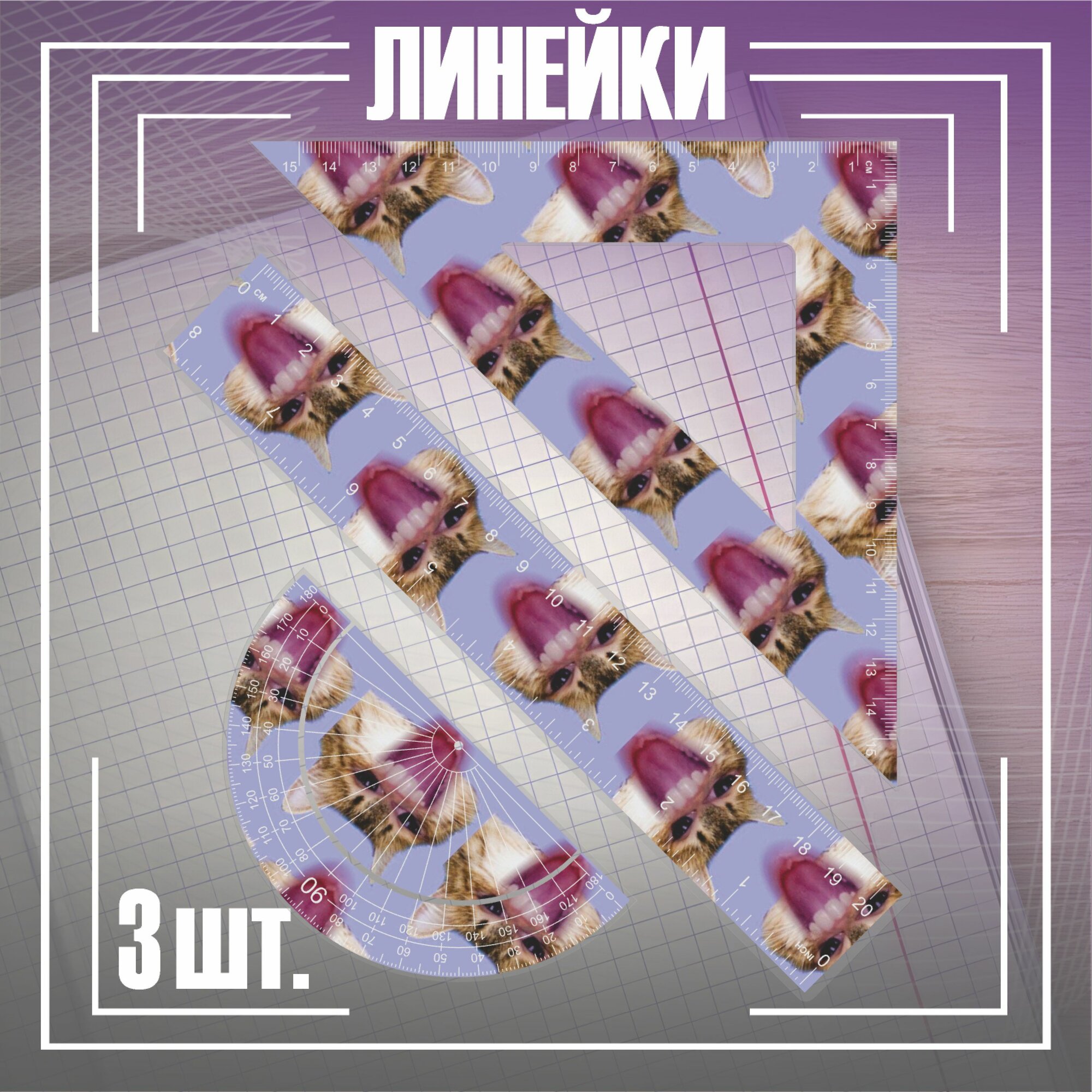 Канцелярия для школы набор линеек милые котики мем