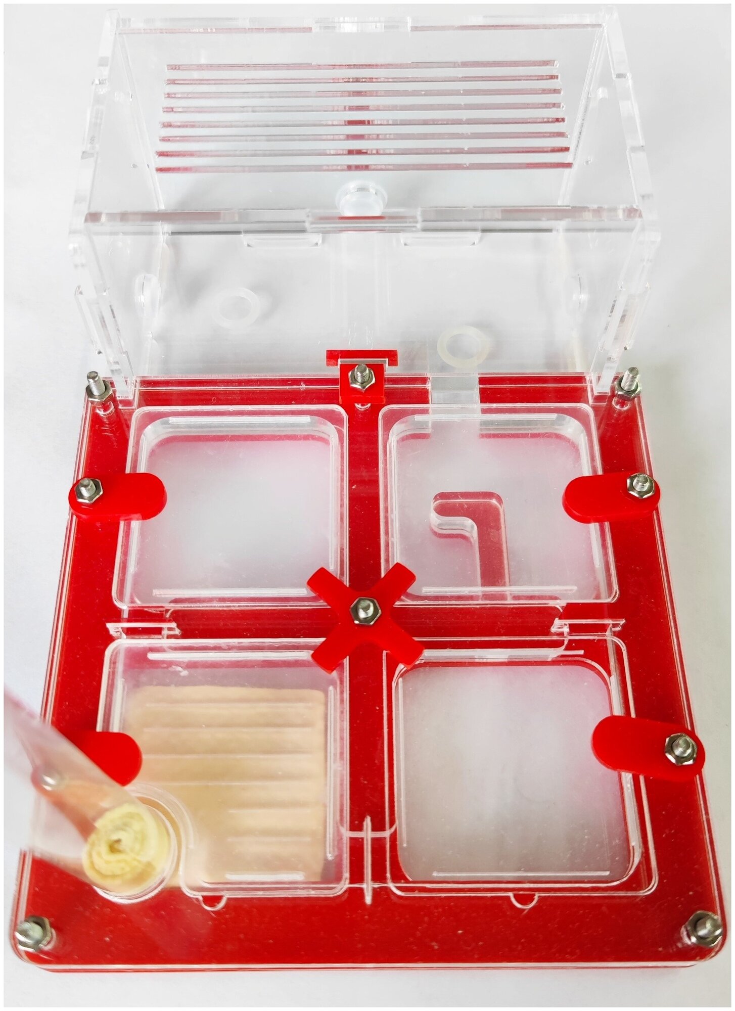 Муравьиная ферма Plane Ecology R. AntLife.r в собранном виде + антипобег! Колония муравьёв M. Structor - в подарок!