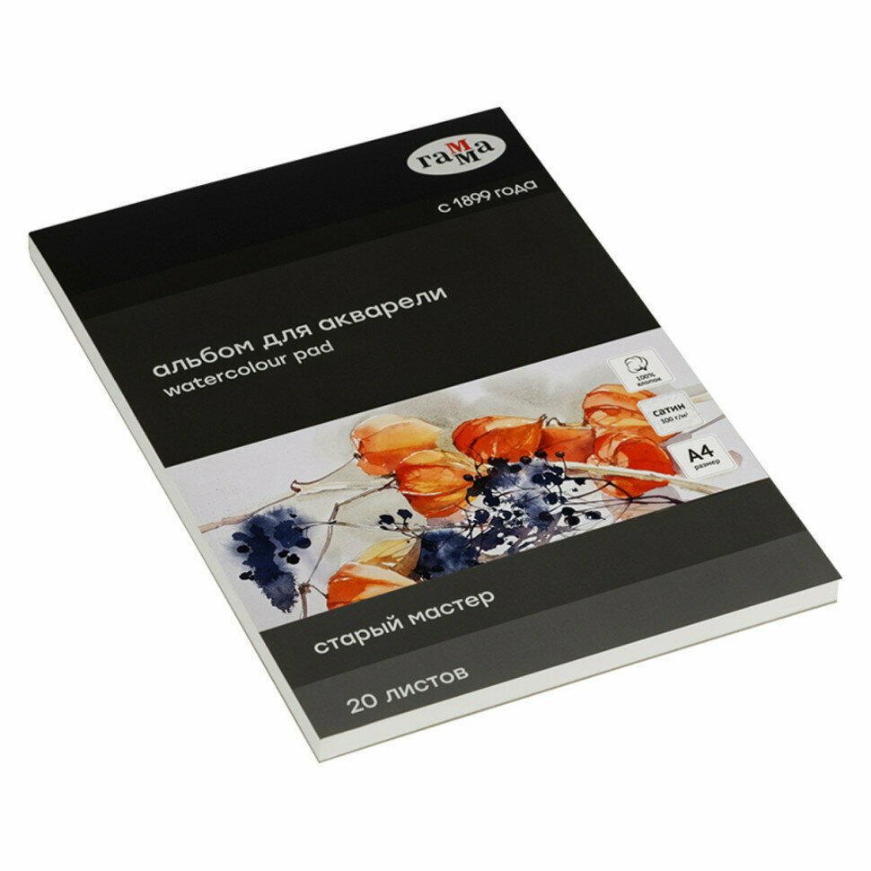 Альбом для акварели, 20л, А4, склейка с 4-х сторон Гамма "Старый Мастер", 300г/м2, сатин, 100% хлопок, 332546