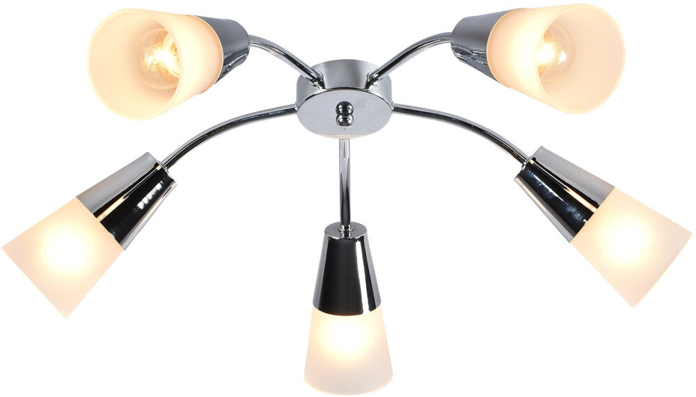 Потолочная люстра Aquilegia 1100/5P Chrome