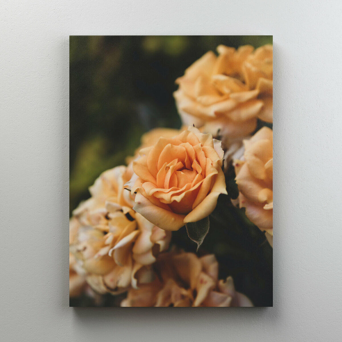 Интерьерная картина на холсте "Чайные розы" цветы и растения, размер 30x40 см