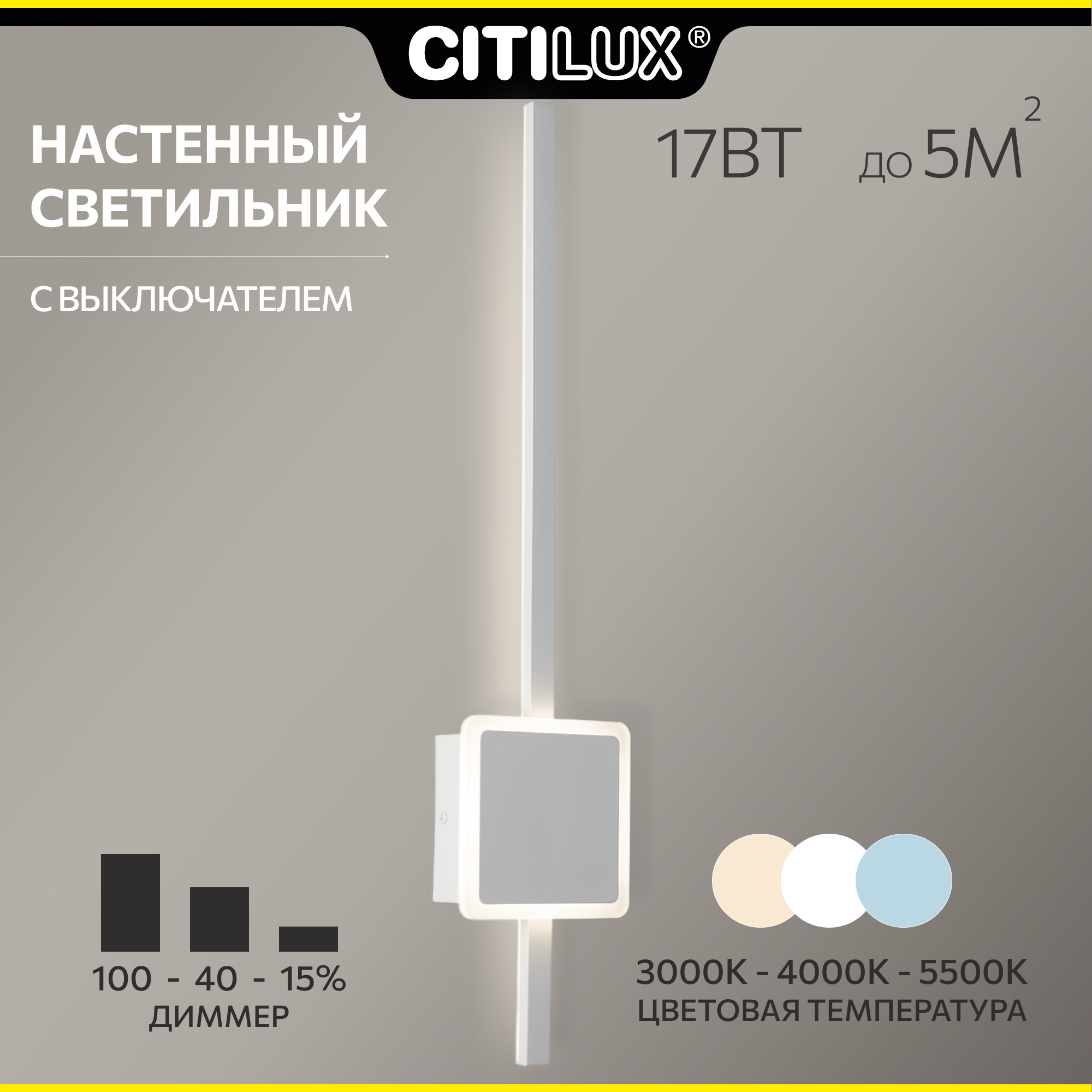 Светильник настенный Citilux Стиг CL203410