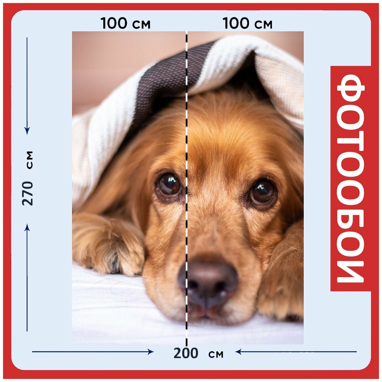 Фотообои "Английский кокер спаниель, собака, щенок" 200x270 см. флизелиновыена стену